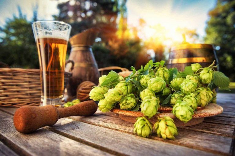 Discovering Unique Flavours: Explore the Different Types of IPA Beers ...